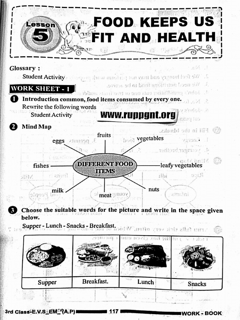 3rd EVS Food Keeps Us Fit and Health Work Sheets | PDF