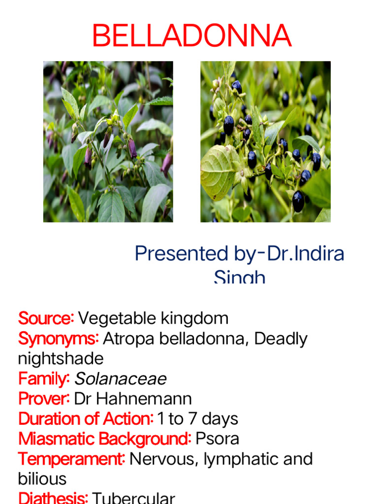 Belladonna 1 | PDF | Diseases And Disorders | Clinical Medicine