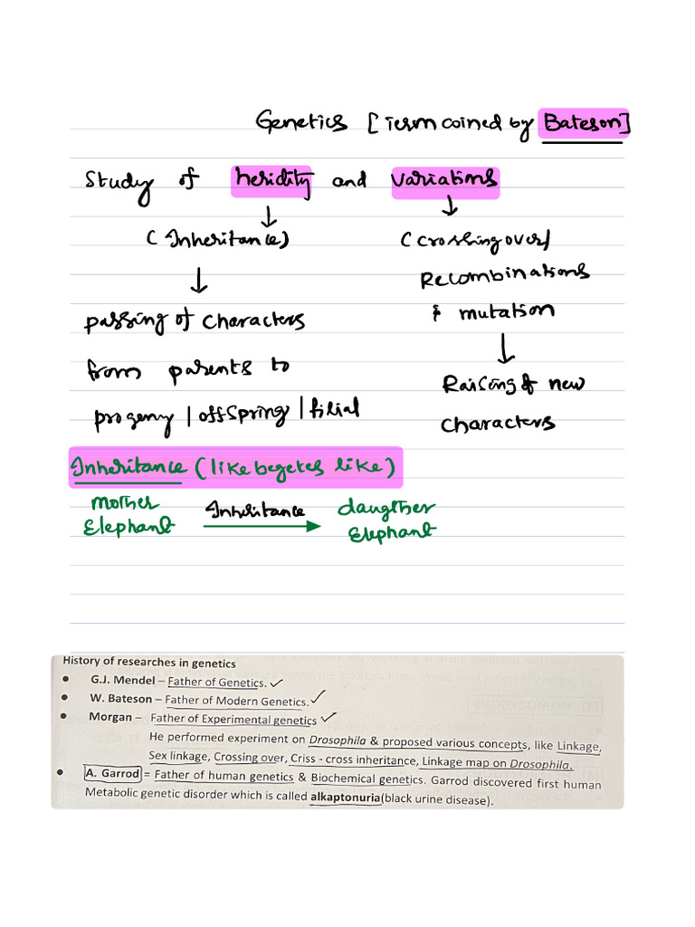 GENETICS (Principles of Inheritance & Variations) | PDF | Dominance (Genetics) | Allele