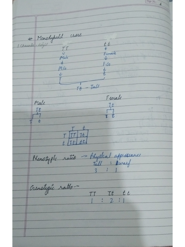 Class 12 Chapter 4 Biology Principle's of Inheritance and Variations | PDF