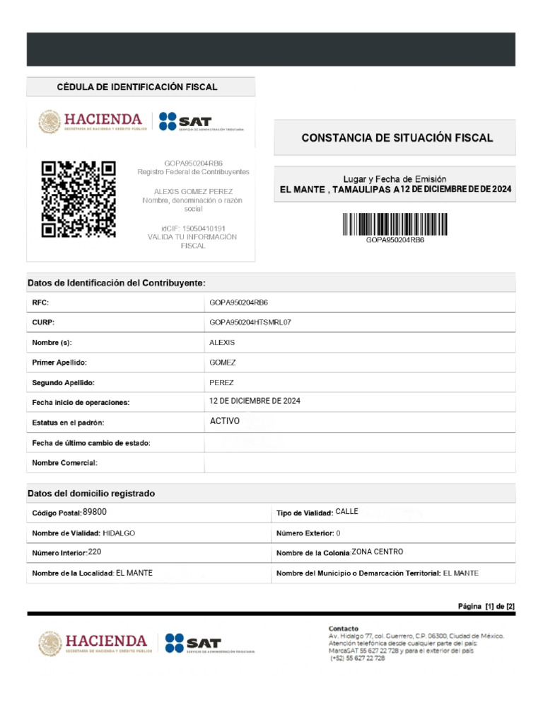 Constancia Sat Actualizado | PDF | Gobierno