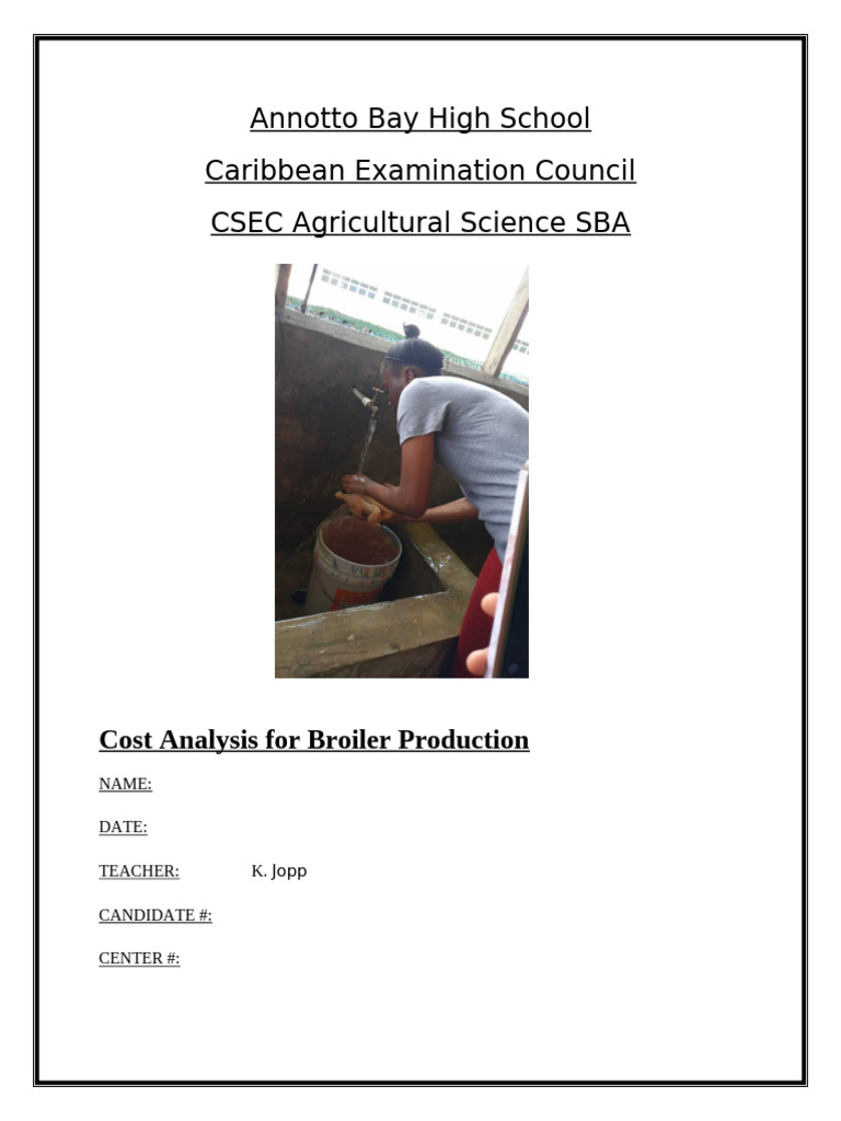 Annotto Bay High School Poultry SBA 2022 | PDF | Poultry Farming | Broiler