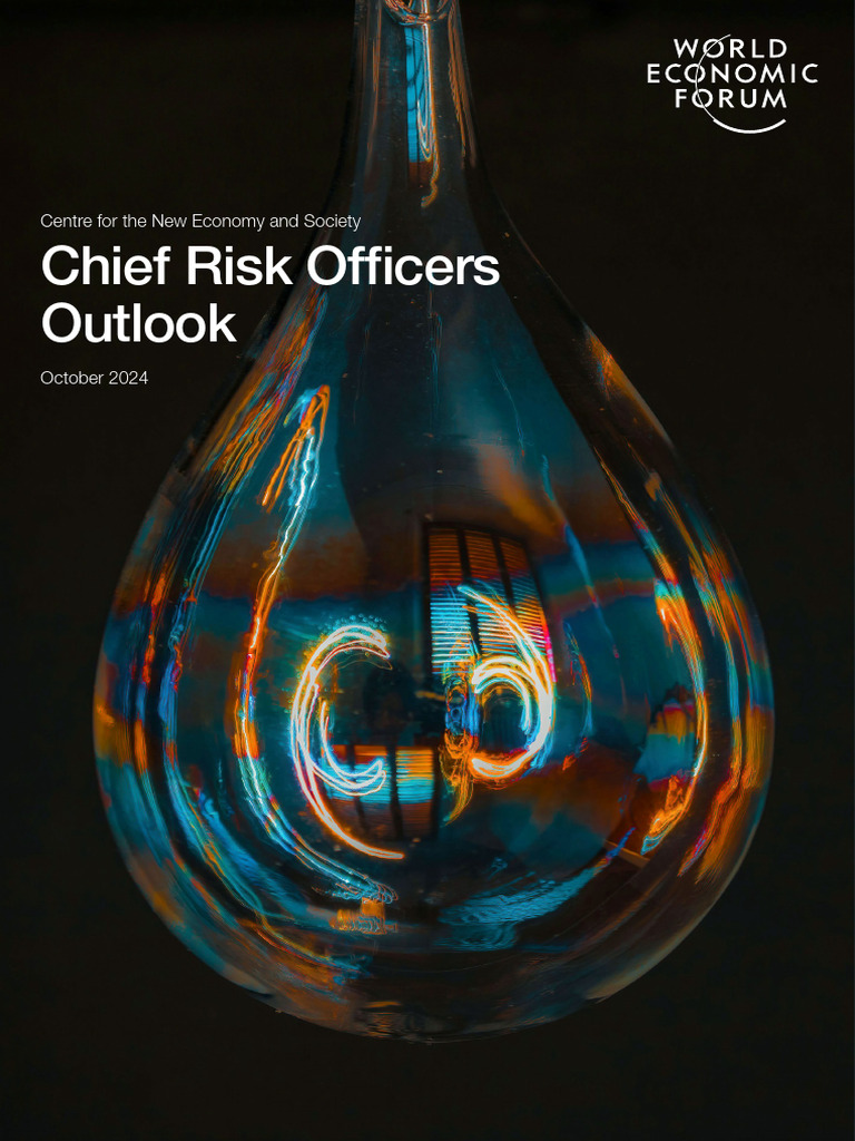 Chief Risk Officers Outlook 2024 | PDF | Risk | Inflation