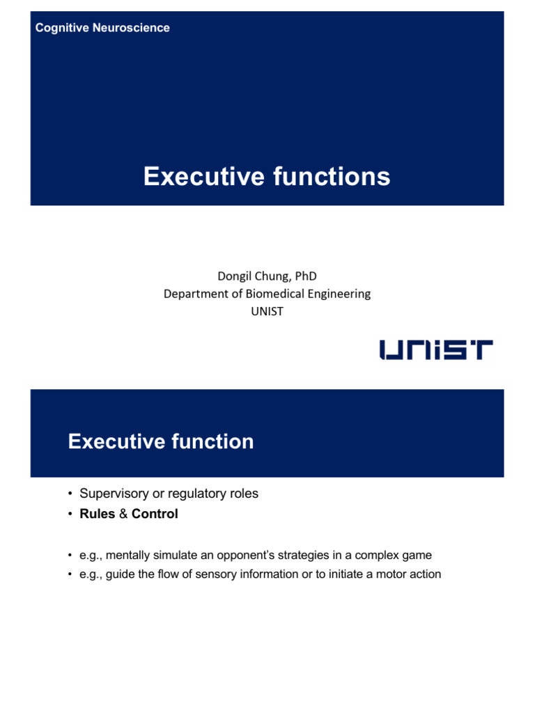 CN-14. Lecture-Executive Functions | PDF | Prefrontal Cortex | Executive Functions