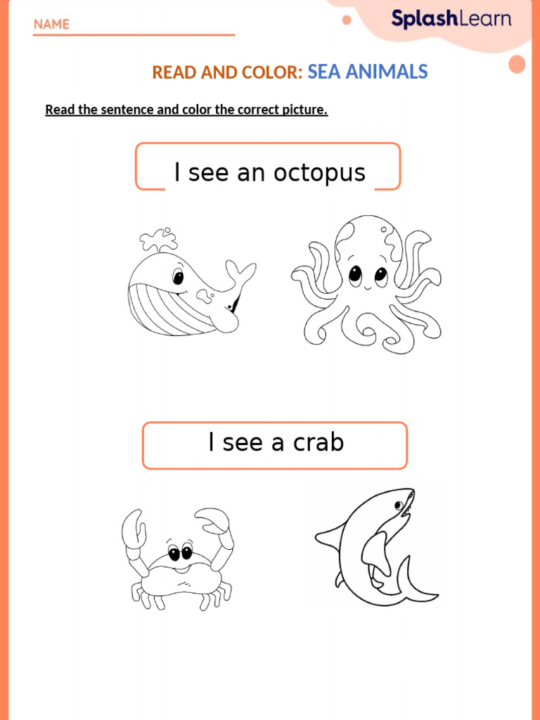Read and Color Sea Animal | PDF