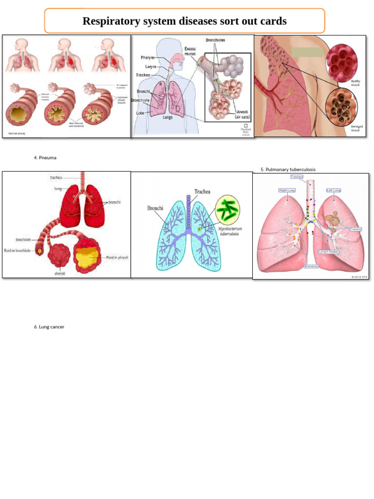 respiratory system diseases (1) | PDF
