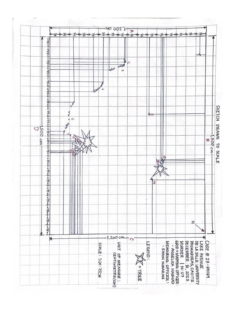 SKETCH Final Rough | PDF