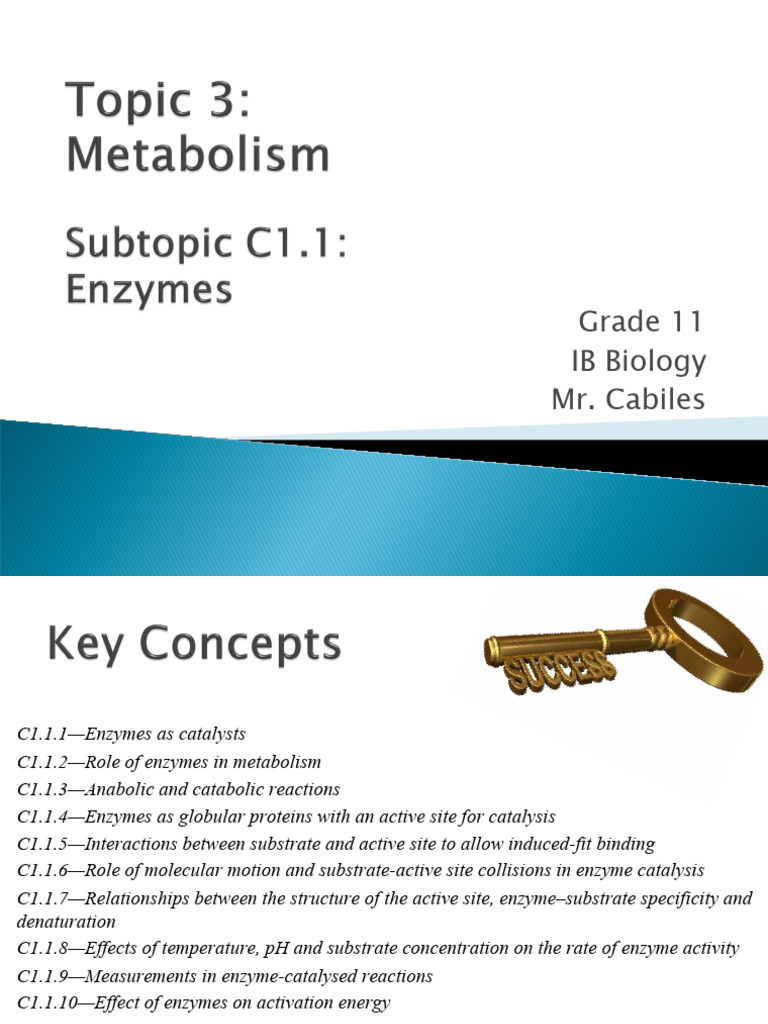 Enzyme Function and Metabolism in Biology | PDF | Enzyme | Active Site
