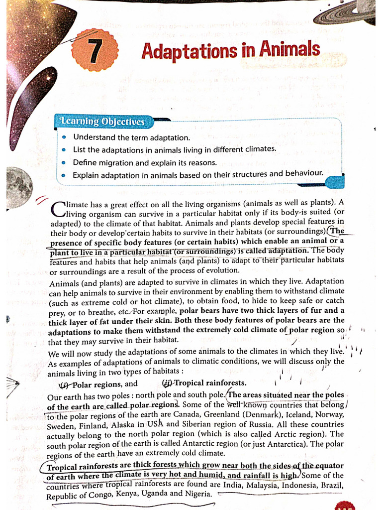 Adaptation in Animal class 7 CBSE | PDF