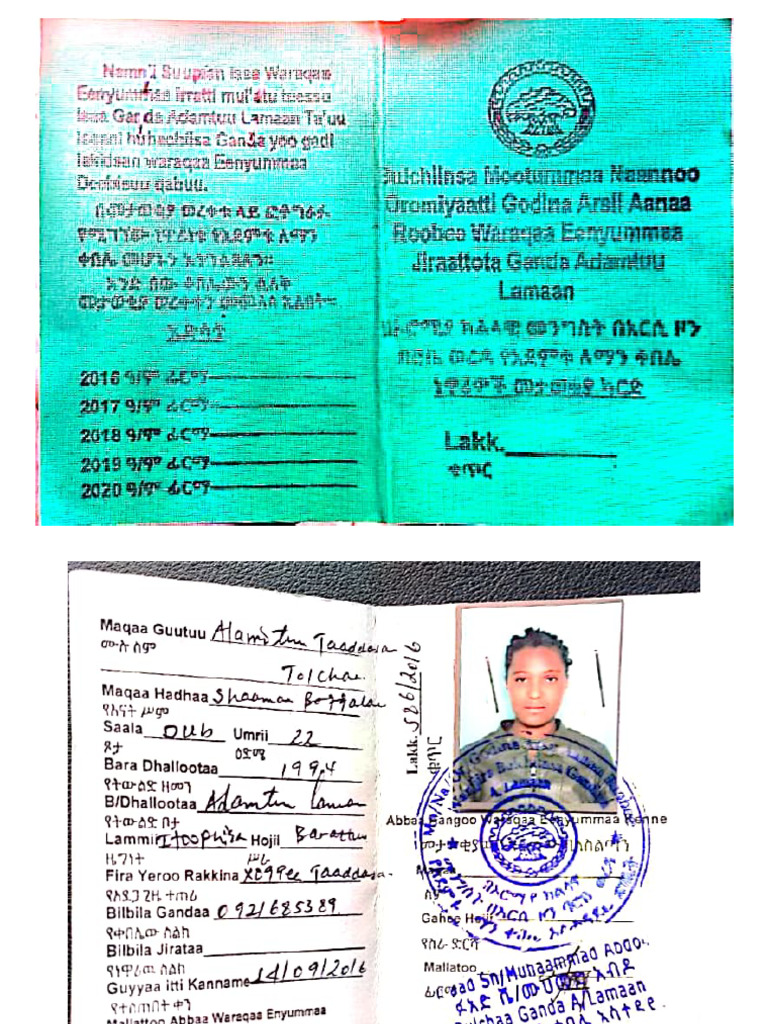 Alemitu Id | PDF