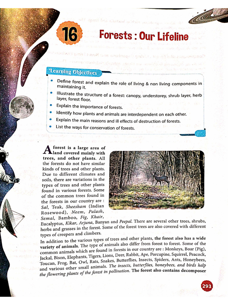 Forest Our Lifeline Class 7 CBSE | PDF