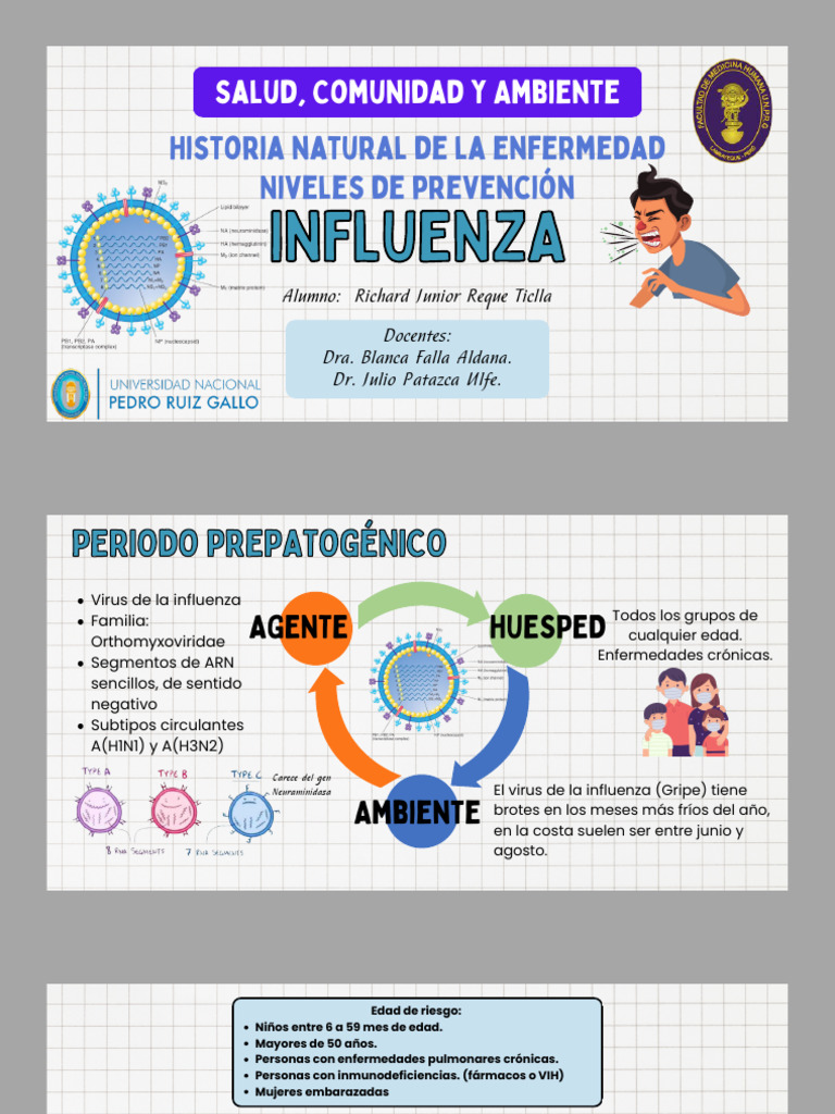 HNE Y NP DE INFLUENZA.pdf | PDF | Influenza | Enfermedades y trastornos HNE Y NP DE INFLUENZA.pdf | PDF | Influenza | Enfermedades y trastornos