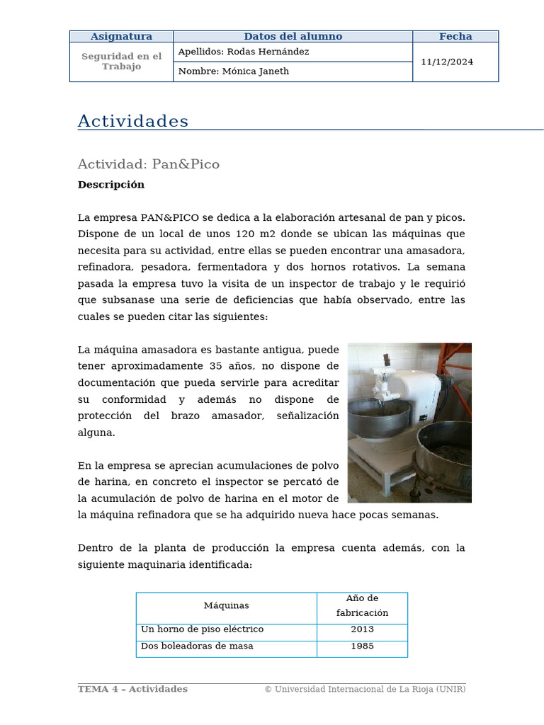Actividad Pan y Pico | PDF | Panes