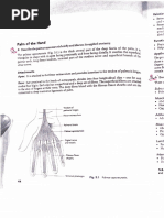Palmar Aspect of The Hand (Anatomy) | PDF | Hand | Musculoskeletal System