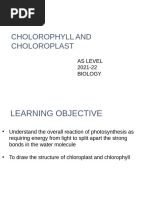 Chloroplast Labelled A Level Diagram | PDF | Chloroplast | Cell (Biology)