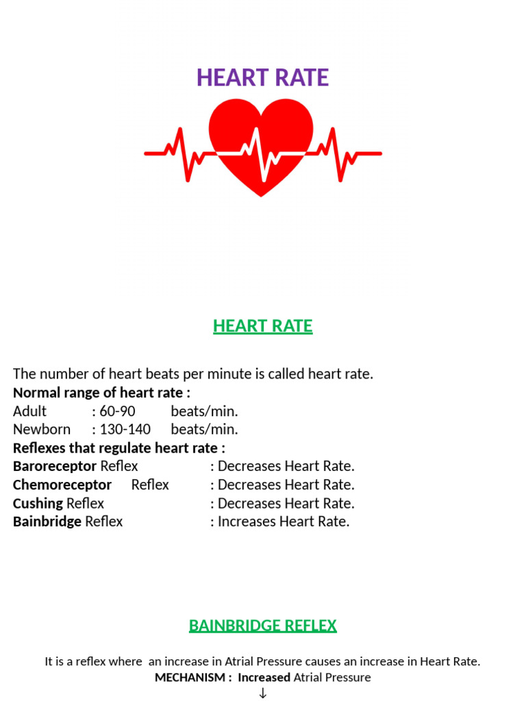 6. Heart Rate | PDF | Heart Rate | Heart