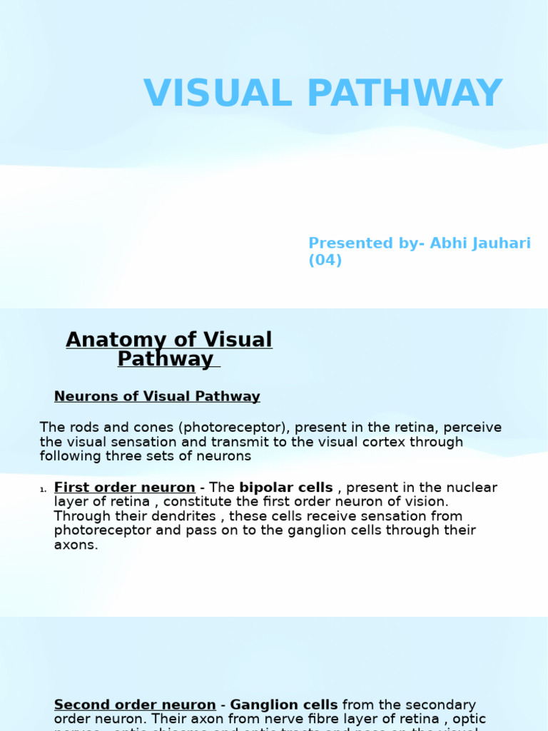 Presentation 6 | PDF | Visual System | Retina