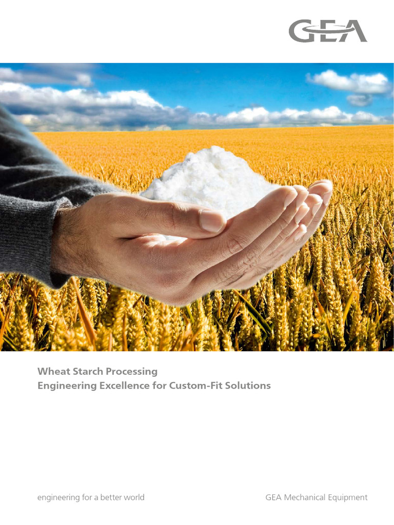bro-fo-wheat-starch-processing-2013-04-en-170241.cleaned | PDF | Gluten | Flour