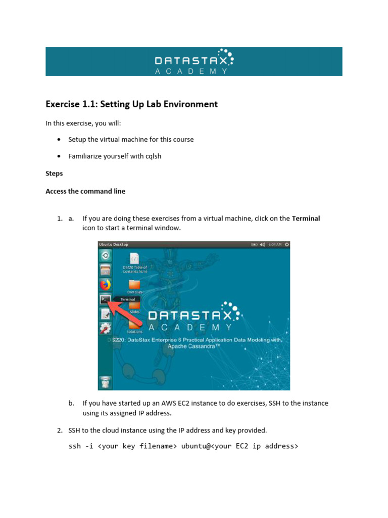 DS220-v6-Exercises | PDF | Conceptual Model | Comma Separated Values