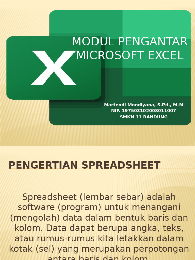Panduan Dasar Microsoft Excel | PDF