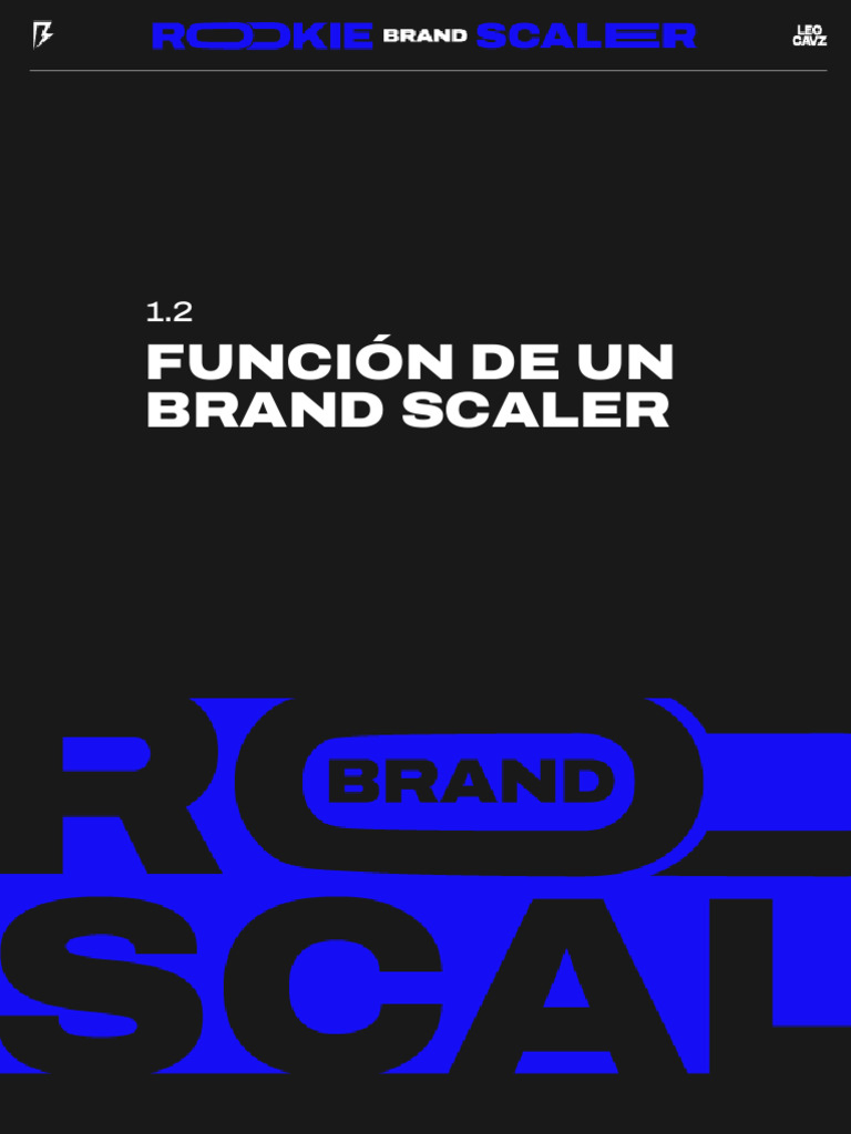 1.2. - Función de Un Brand Scaler | PDF