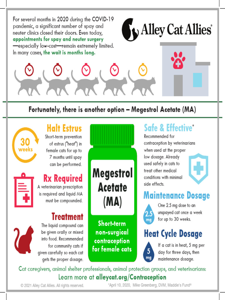 Megestrol Acetate Dosage for Cats | PDF | Dose (Biochemistry) | Chemistry