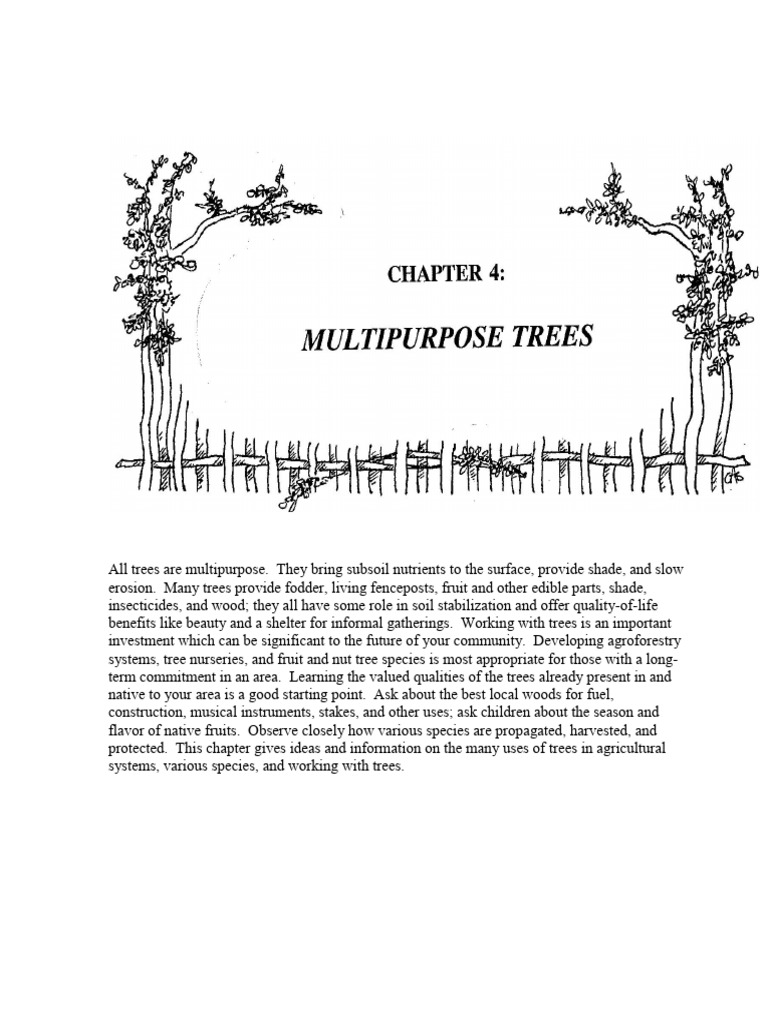 Chapter 4 Multipurpose Trees | PDF | Trees | Agriculture