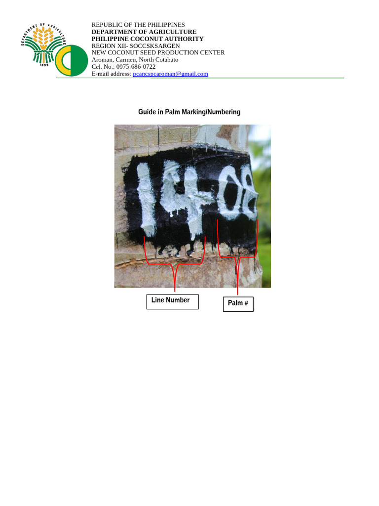 Guide in Palm Marking or Numbering | PDF