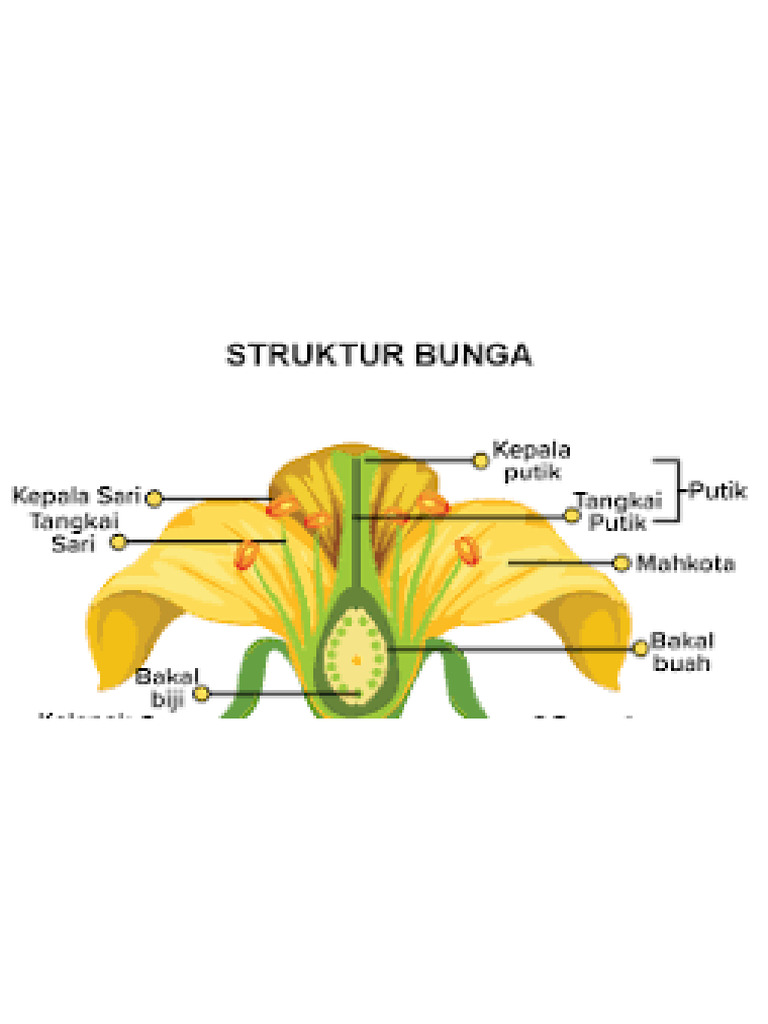 Struktur Pada Bunga | PDF