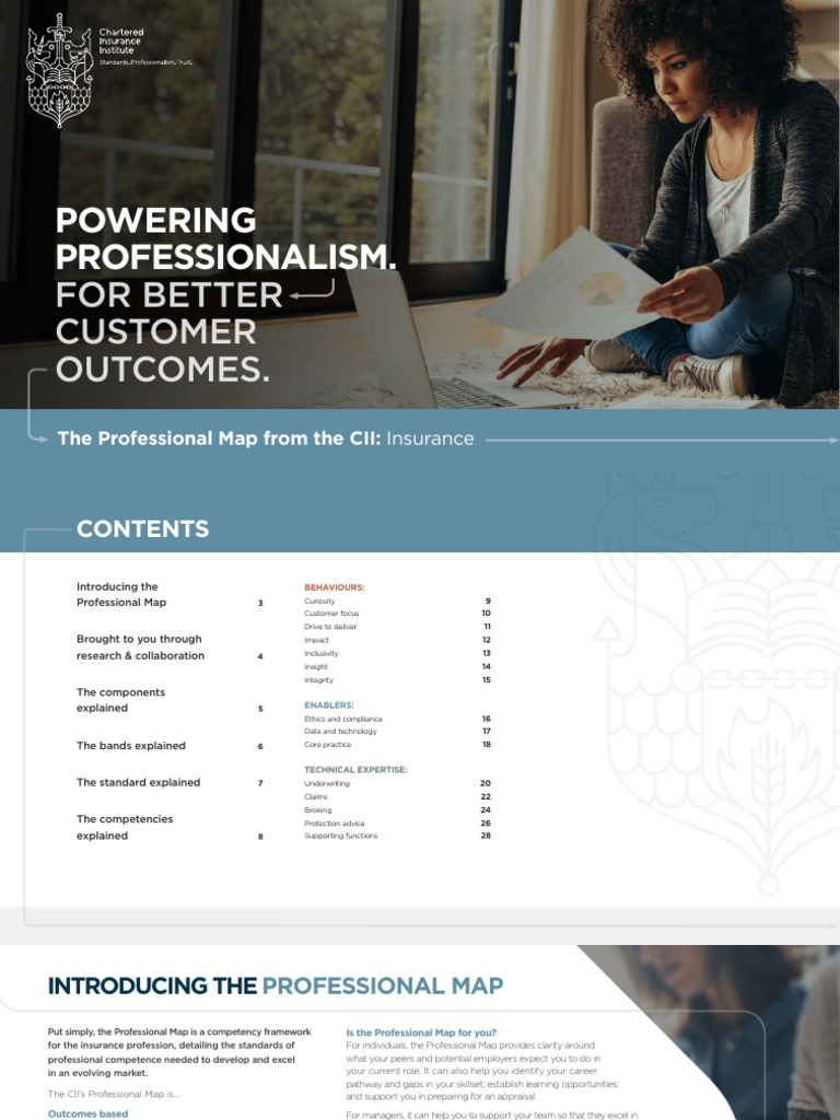 CII Professional Map Overview | PDF | Information | Reputation
