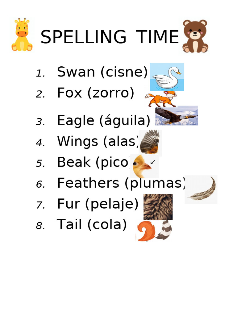 Spelling Time 3 Dibujos | PDF