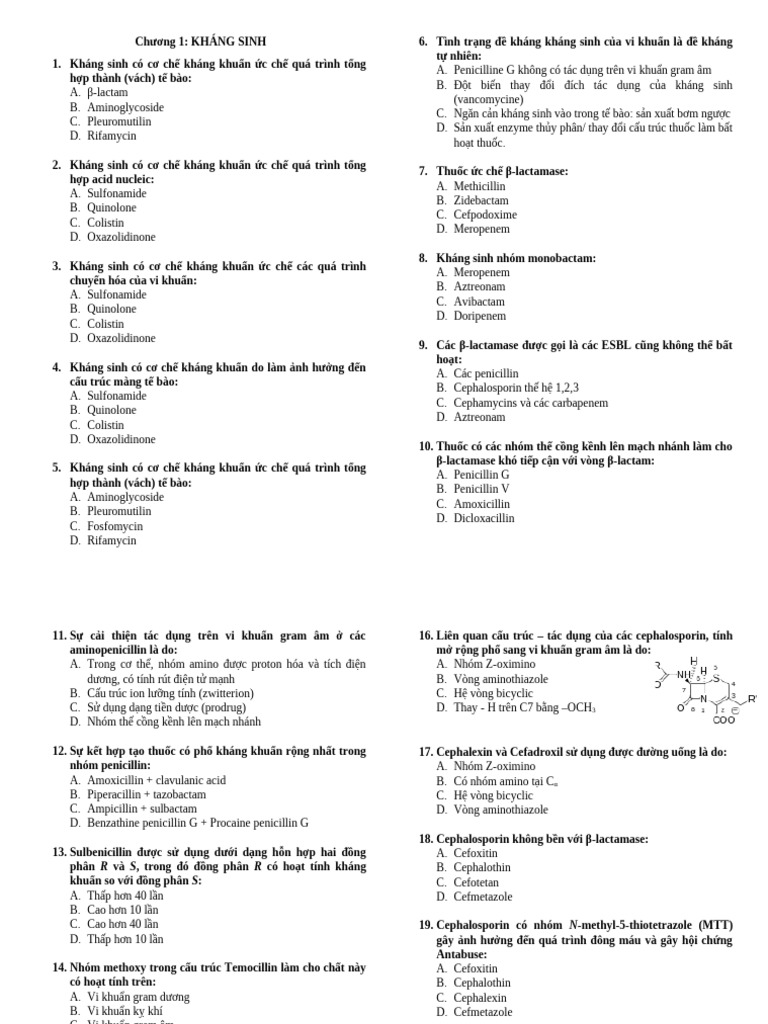 Lượng giá bài kháng sinh | PDF