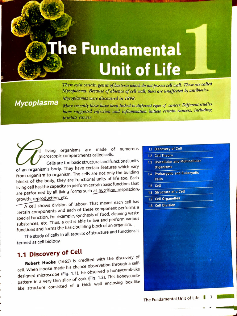 Cell | PDF