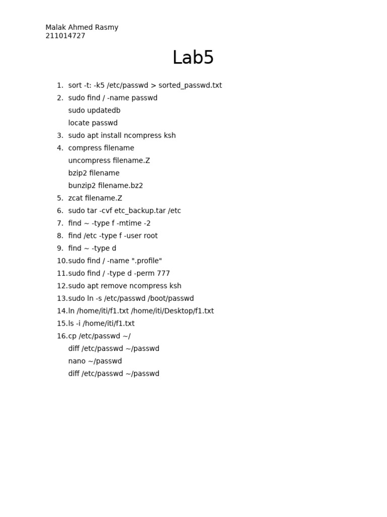 Lab5 Malak Rasmy | PDF