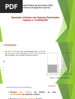 Relatório 4 - Leito Fluidizado | PDF | Mecânica dos fluidos | Turbulência