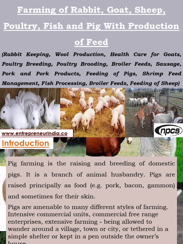 pdfanddoc-425645- | PDF | Sheep | Goat
