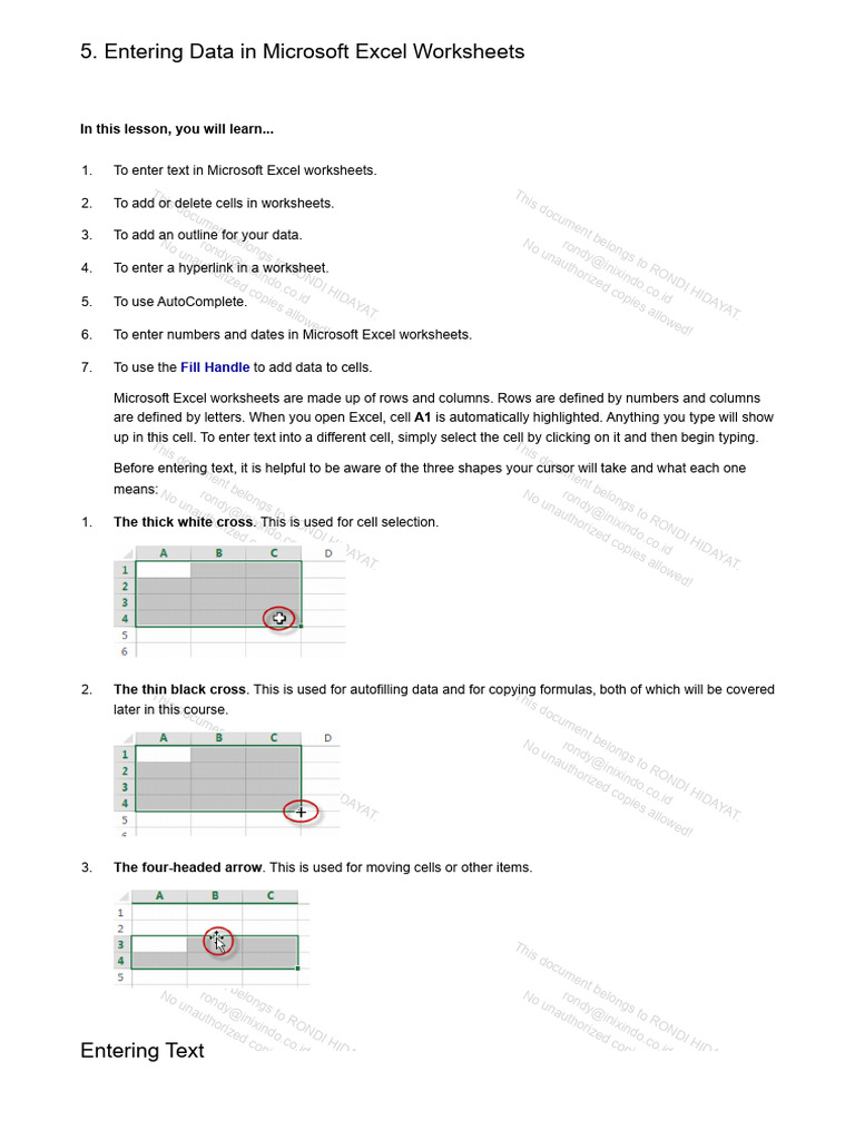Entering Data in Microsoft Excel Worksheets | PDF | System Software | Software