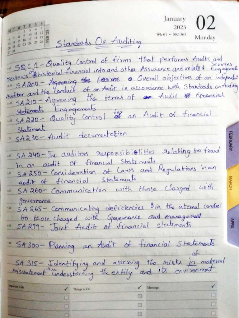 Standards On Auditing | PDF