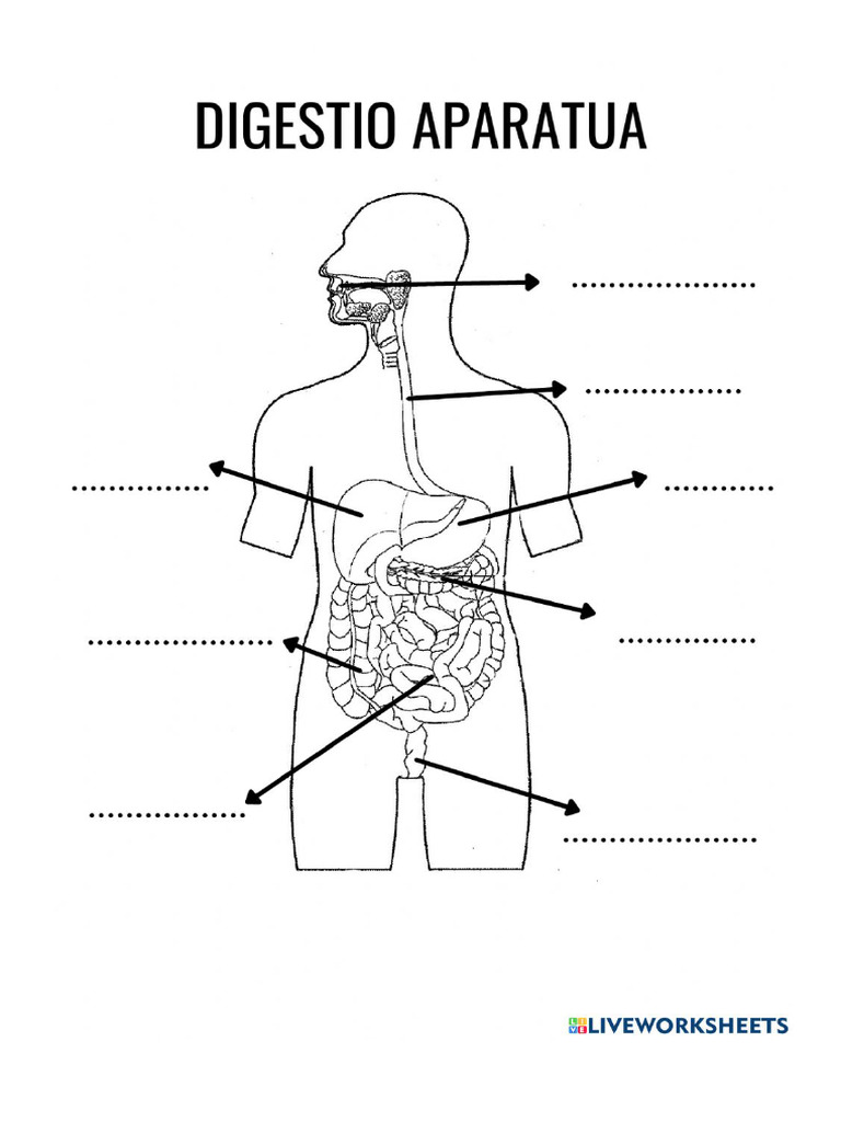 document - 2024-11-06T163728.062 | PDF