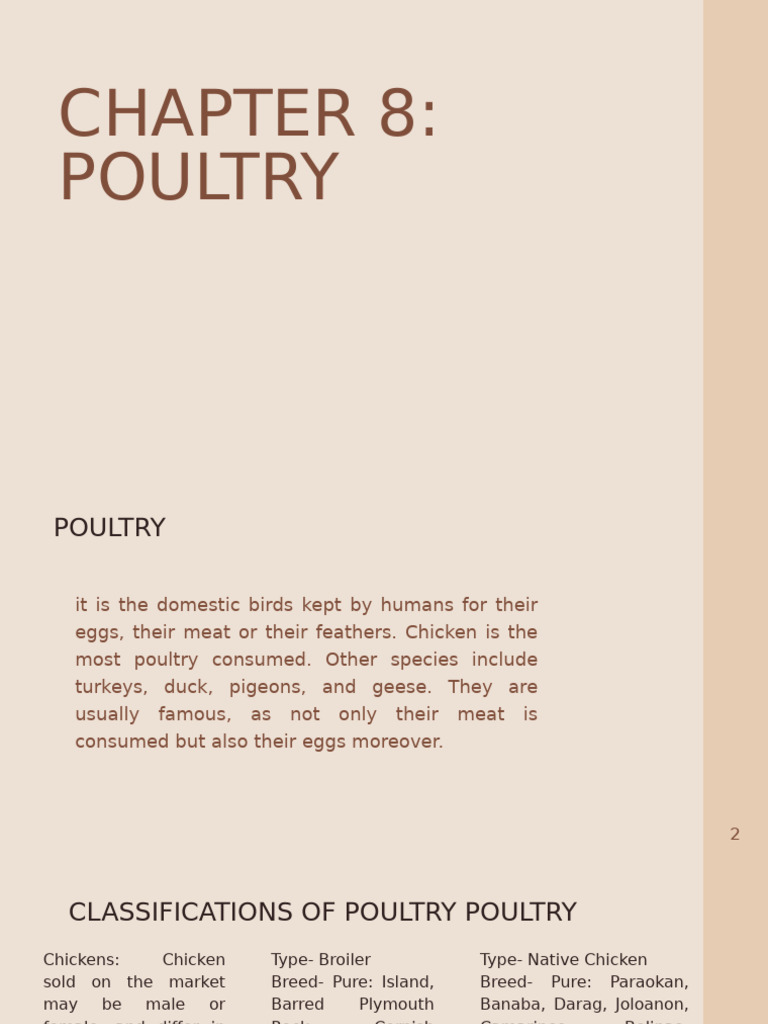 Lesson 8 Poultry | PDF | Poultry | Broiler