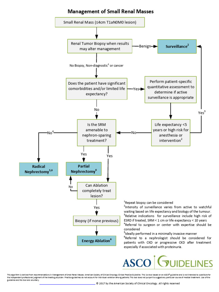 2017 Small Renal Masses Algorithm2 - 0 | PDF | Biopsy | Human Diseases ...