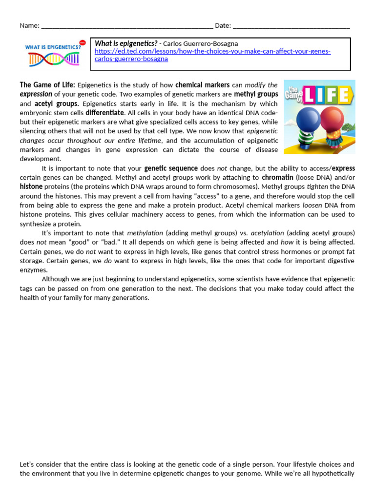 Epigenetics Worksheet and Analysis | PDF | Epigenetics | Histone