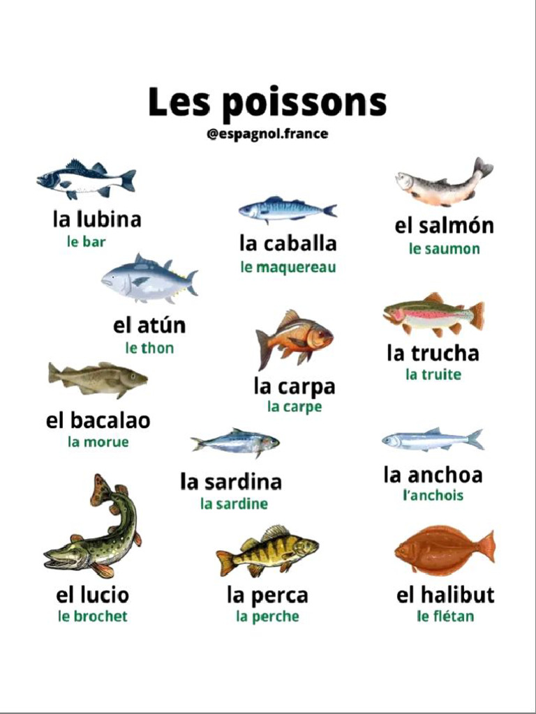 Fish and Name | PDF