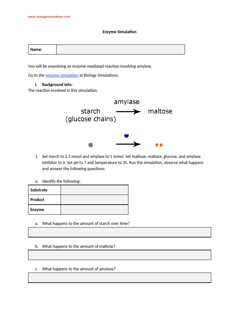 Enzyme Reaction Simulation Guide | PDF | Enzyme | Starch