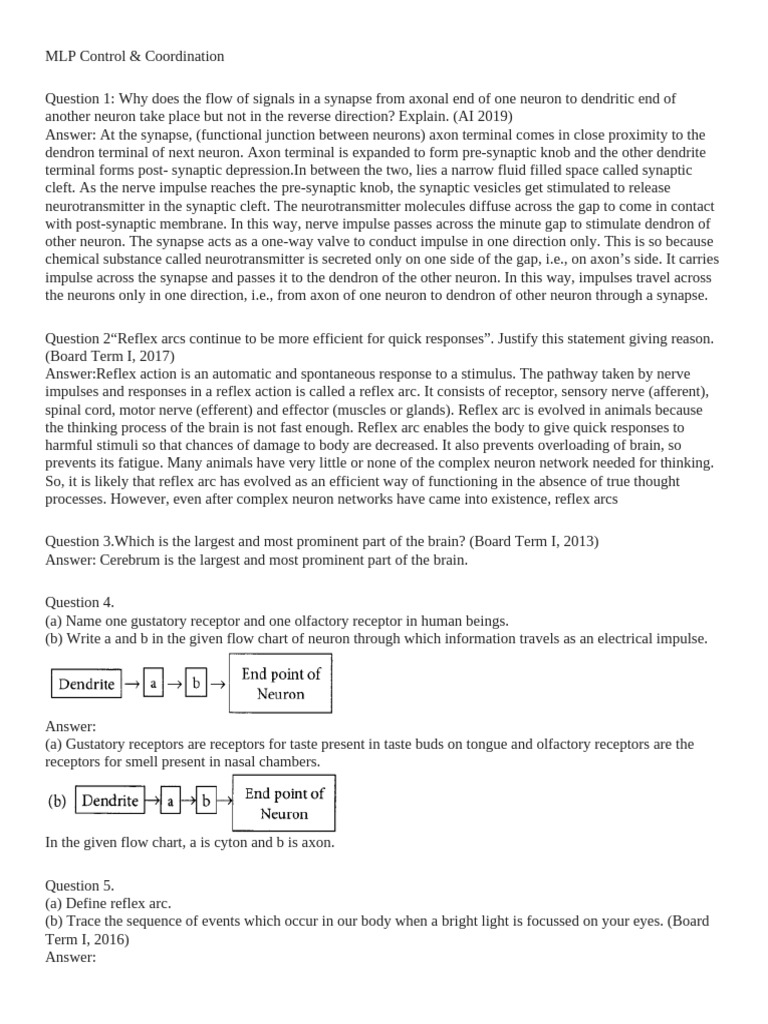 MLP Control and Coordination-1 | PDF | Plant Hormone | Synapse