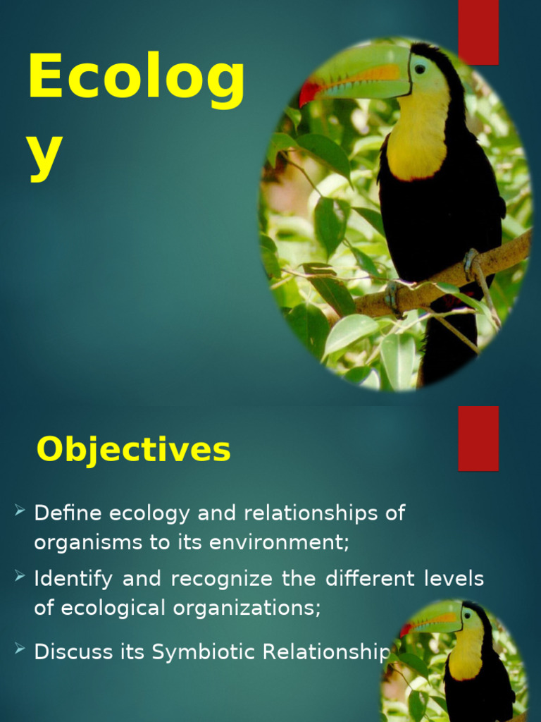 ECOLOGY-Lesson-1 | PDF | Ecology | Symbiosis