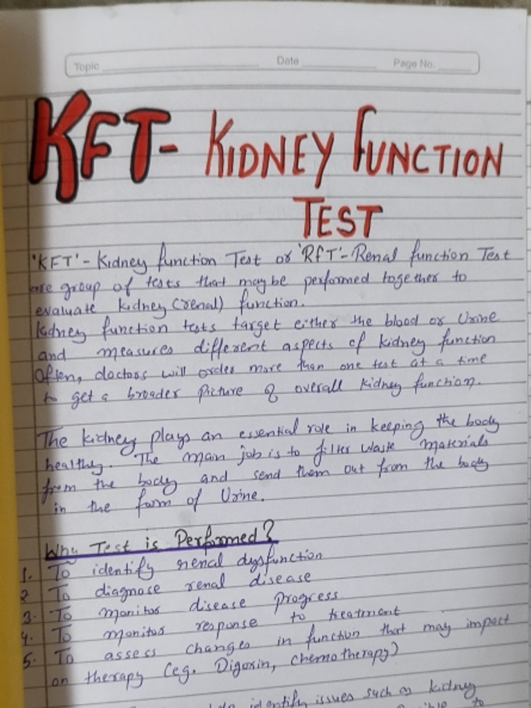 KFT (Kidney Function Test) | PDF