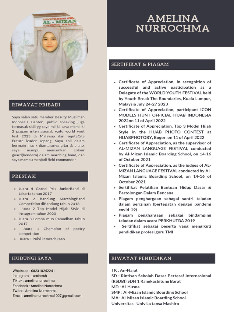 CV Amelina | PDF