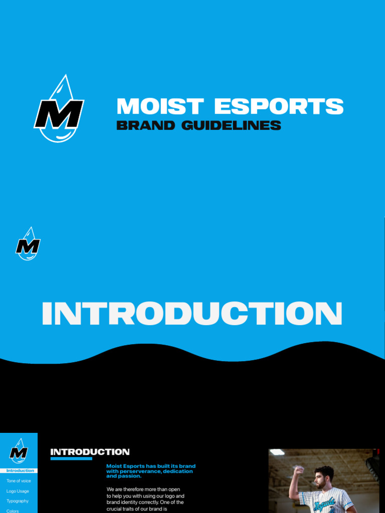 Moist Brand Guidelines | PDF | Typography | Logos