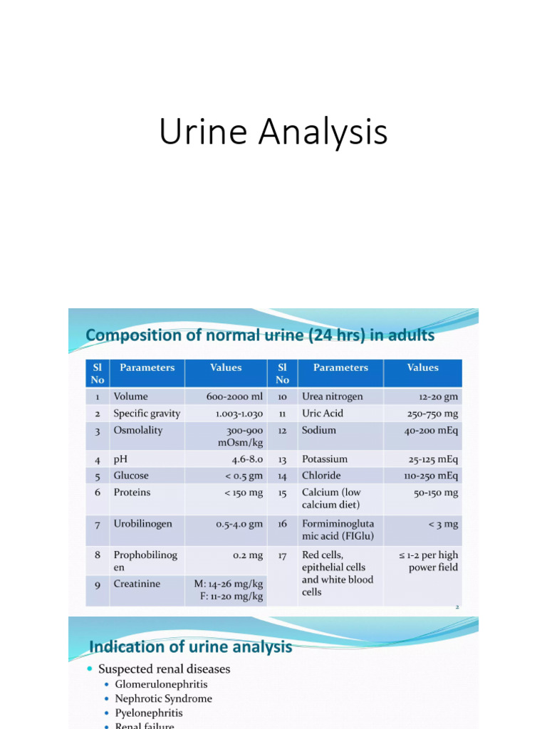 Urine Analysis | PDF